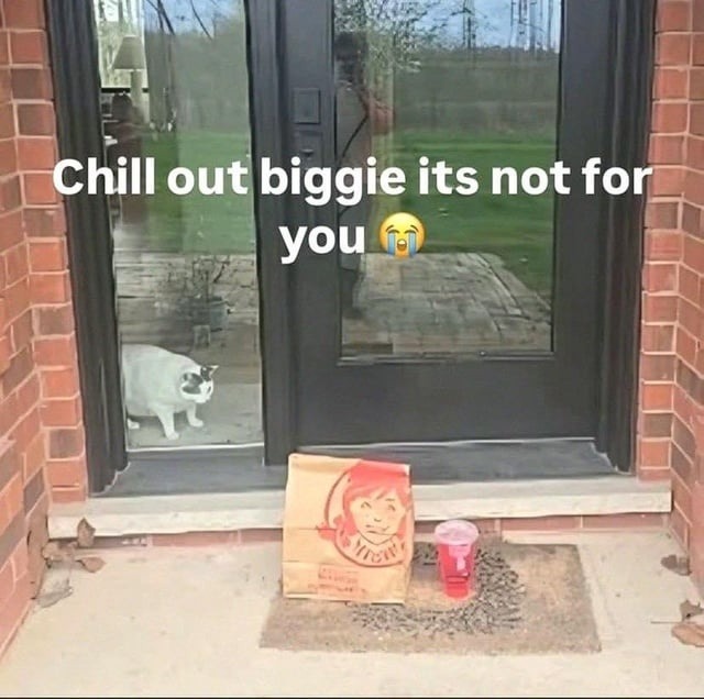 The best Chill memes :) Memedroid