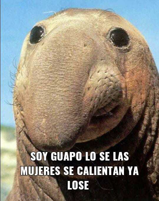 Asa - Meme subido por 1un_chico_bagett :) Memedroid