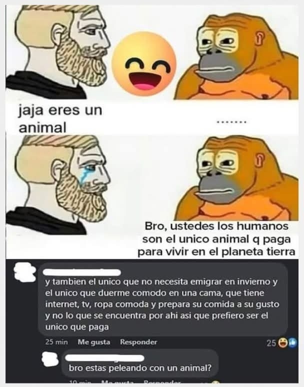 Memedroid: tu web para ver, votar y compartir memes en español.