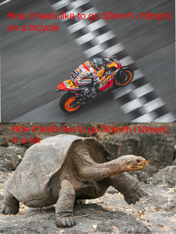 The best Slow memes :) Memedroid