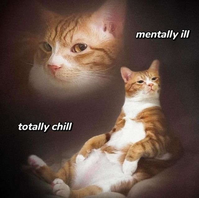 The best Chill memes :) Memedroid