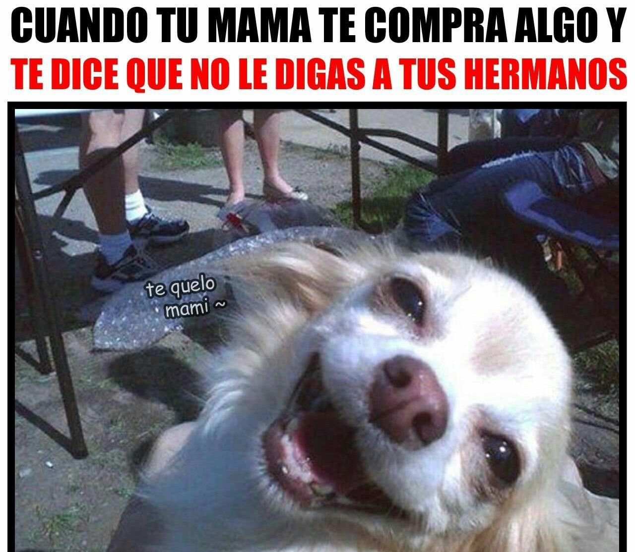 Es genial cuando pasa. - Meme subido por REQH_YT :) Memedroid