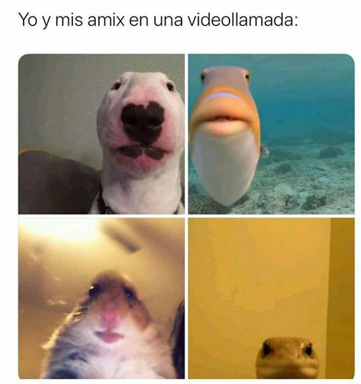 Así estamos - Meme subido por elTxo :) Memedroid
