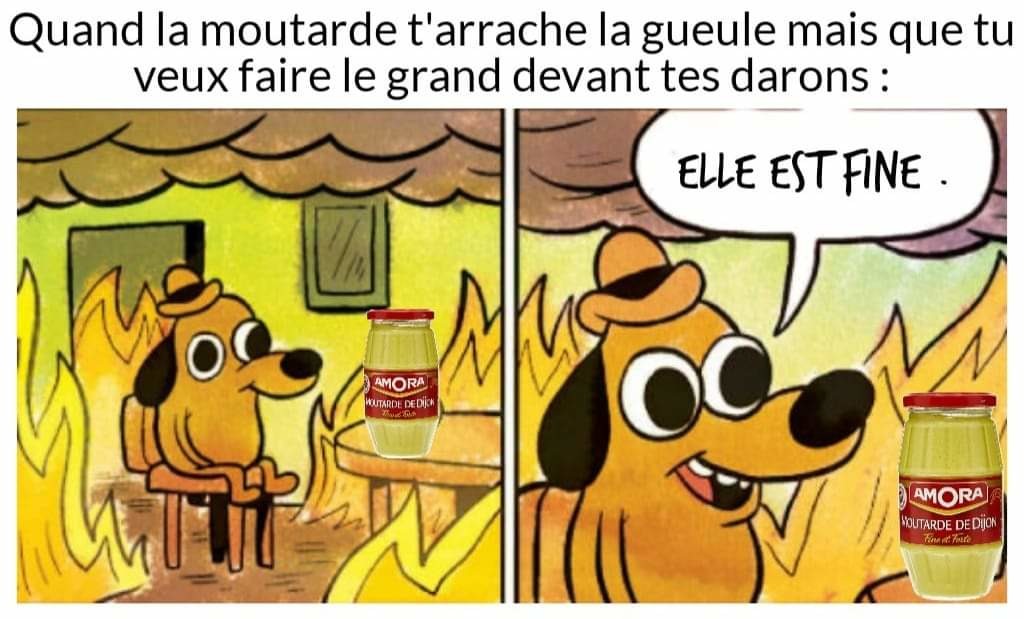 The best feu memes :) Memedroid