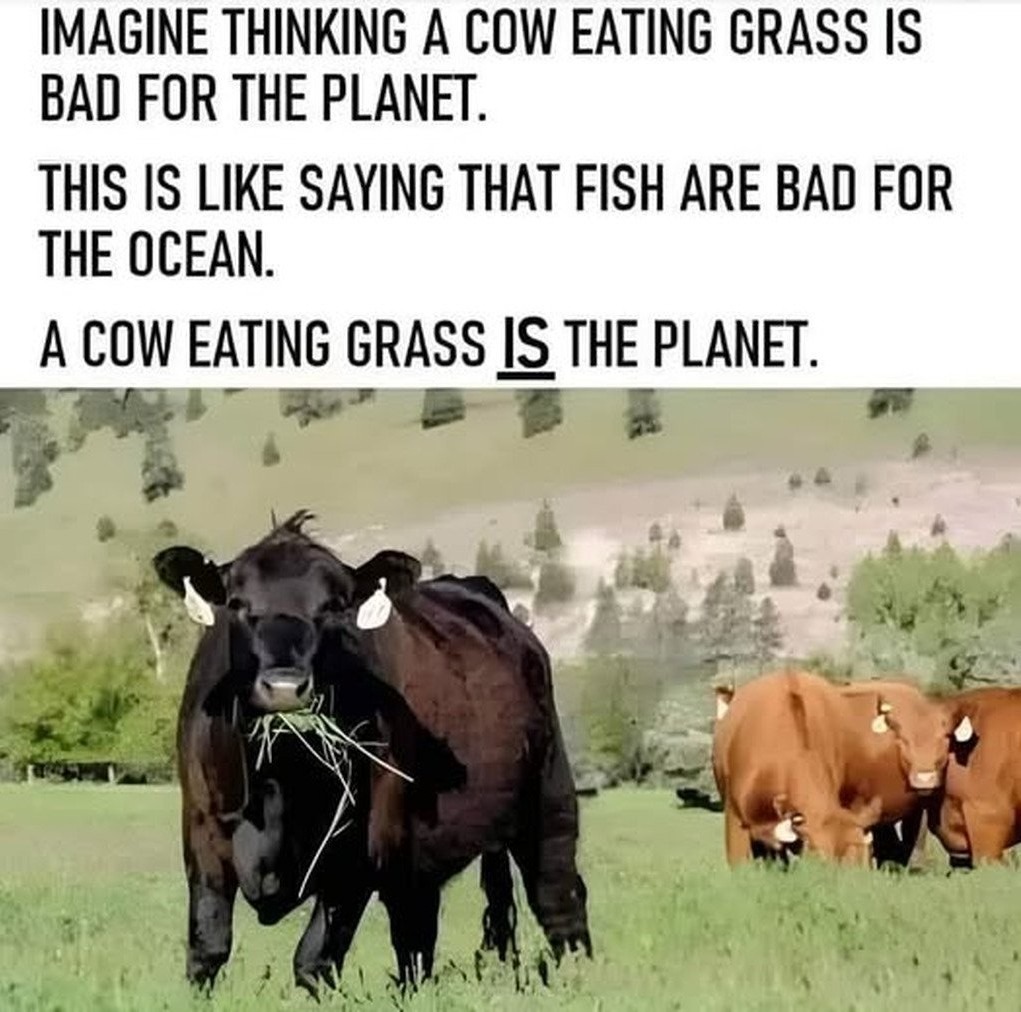 The best Cow memes :) Memedroid