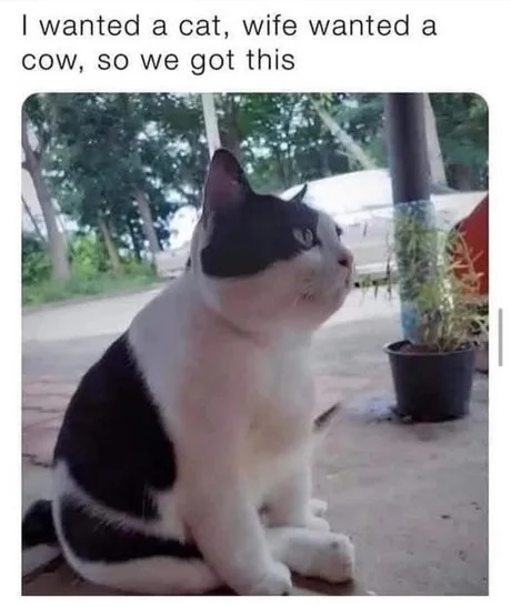 The Latest Memes :) Memedroid