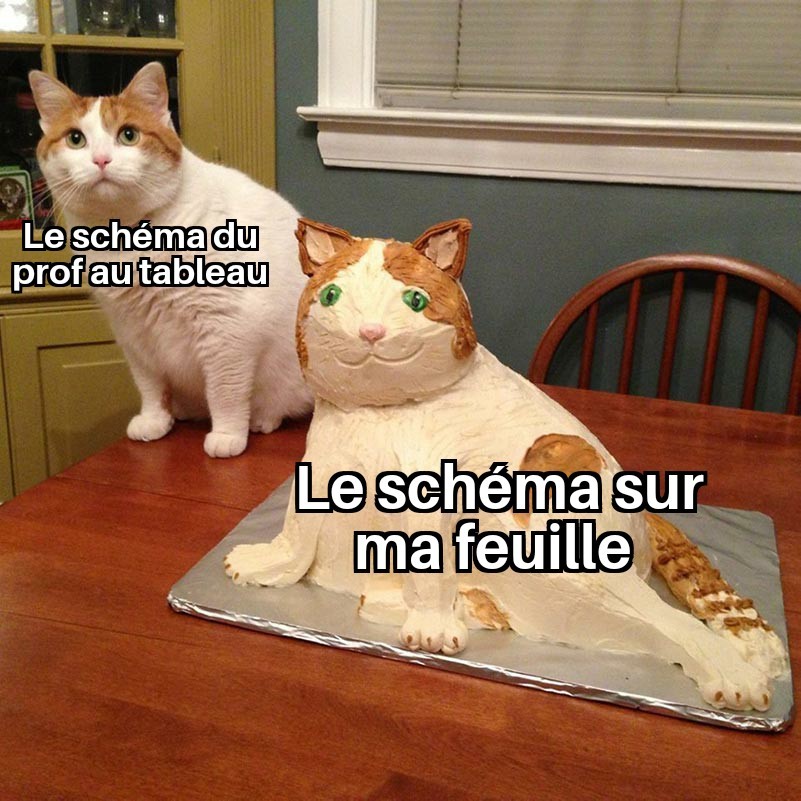 Les schémas - Meme by internathanal :) Memedroid
