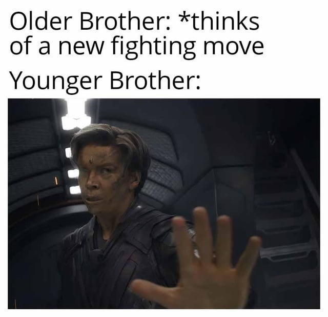 Memes About Brother National Brother's Day Memes