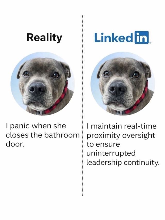 The best Linkedin memes :) Memedroid