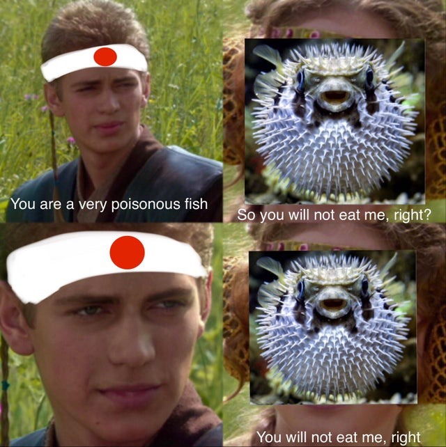 Poisonous fish in Japan - Meme by adam1415 :) Memedroid
