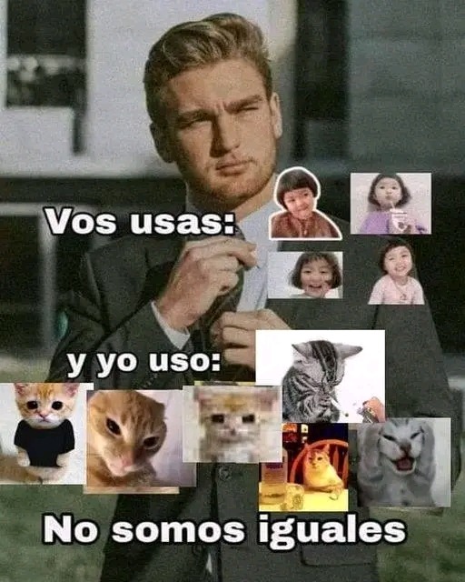 Gato - Resultados de búsqueda :) Memedroid