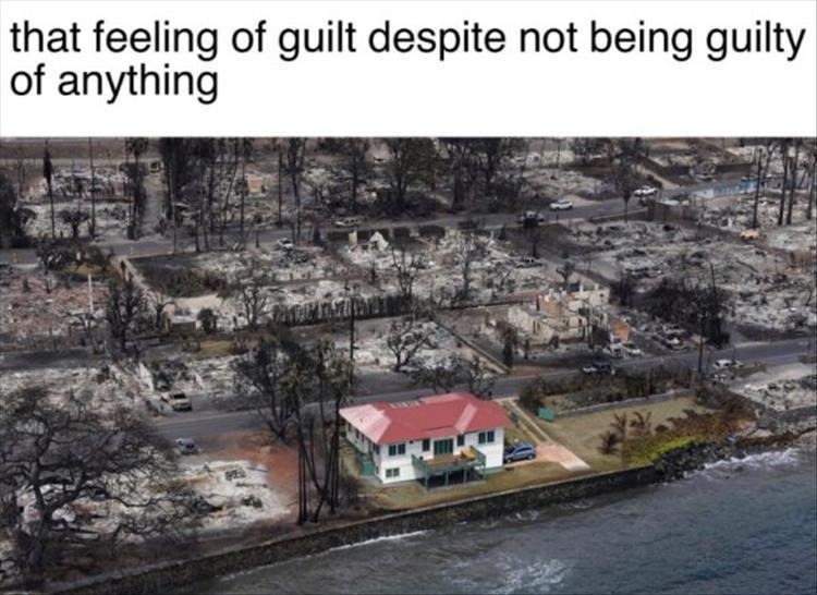 The best Guilty memes :) Memedroid