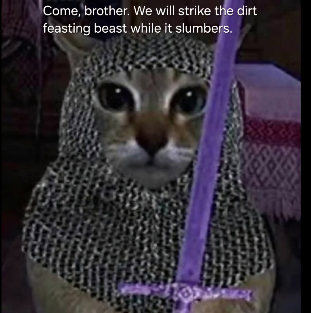 Sir Mittens Memes