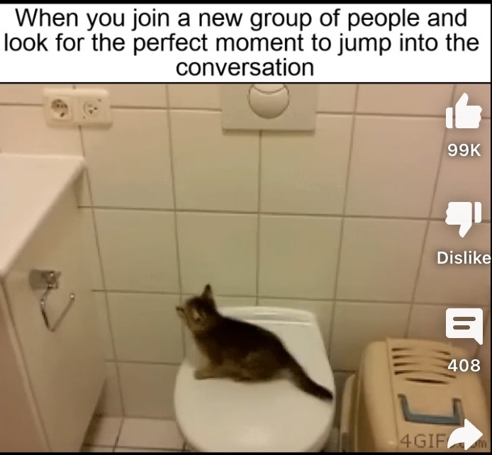 cat - Meme by hey.stinky :) Memedroid