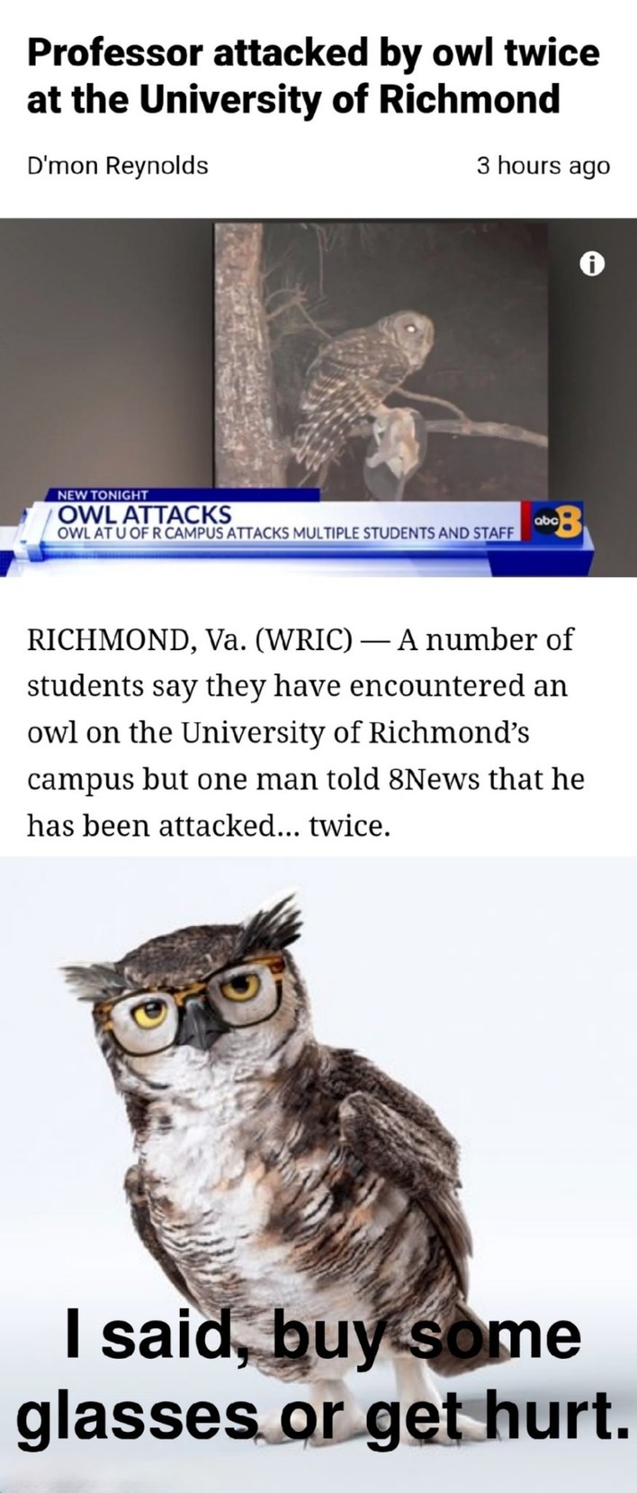 Watch The Owl Meme By Seekthetruth Memedroid