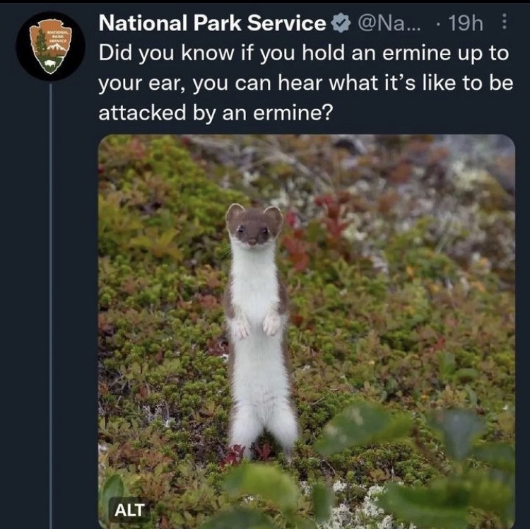 whoa no way - Meme by Username_Redacted :) Memedroid