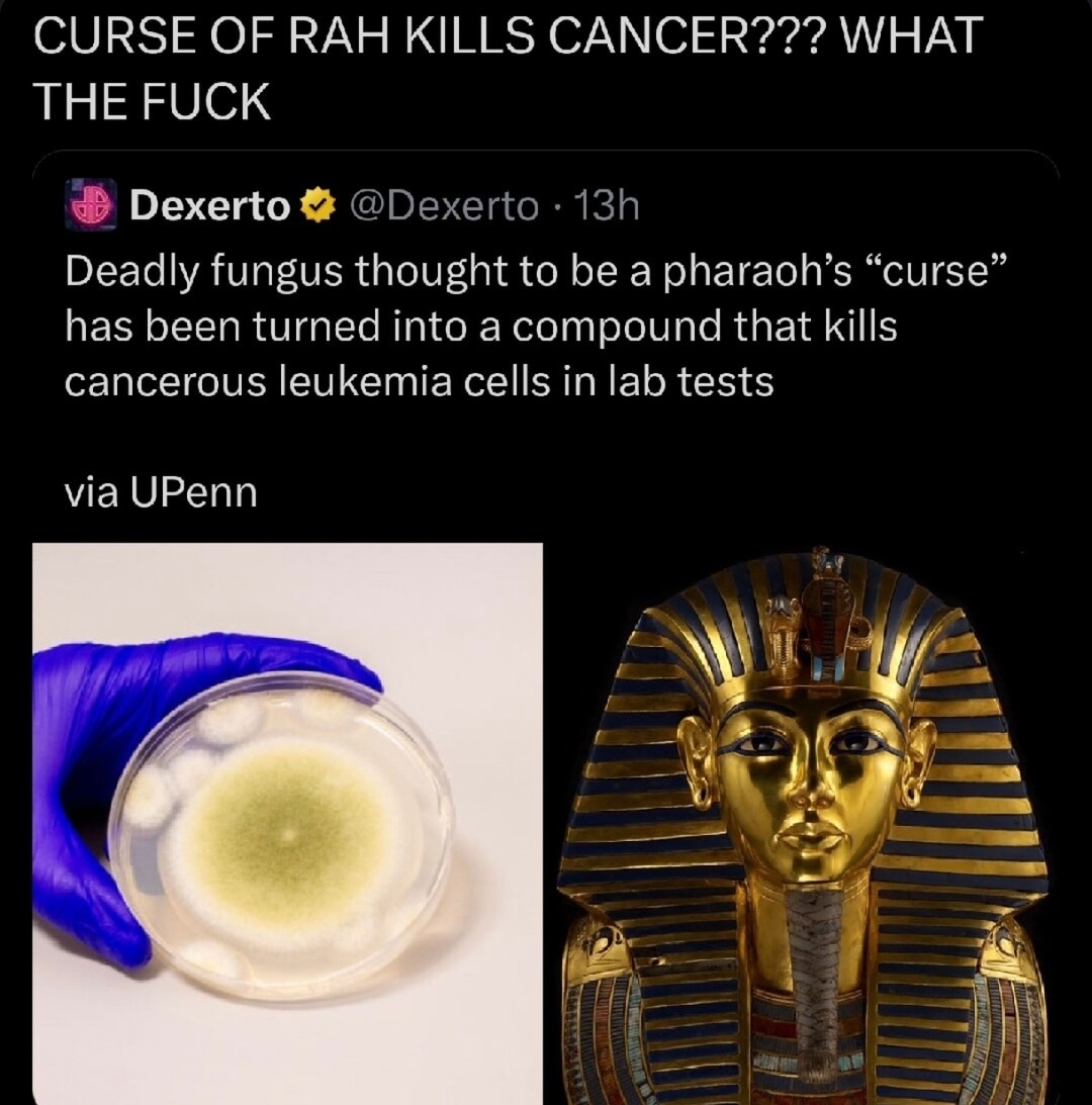 The best Cancer memes :) Memedroid