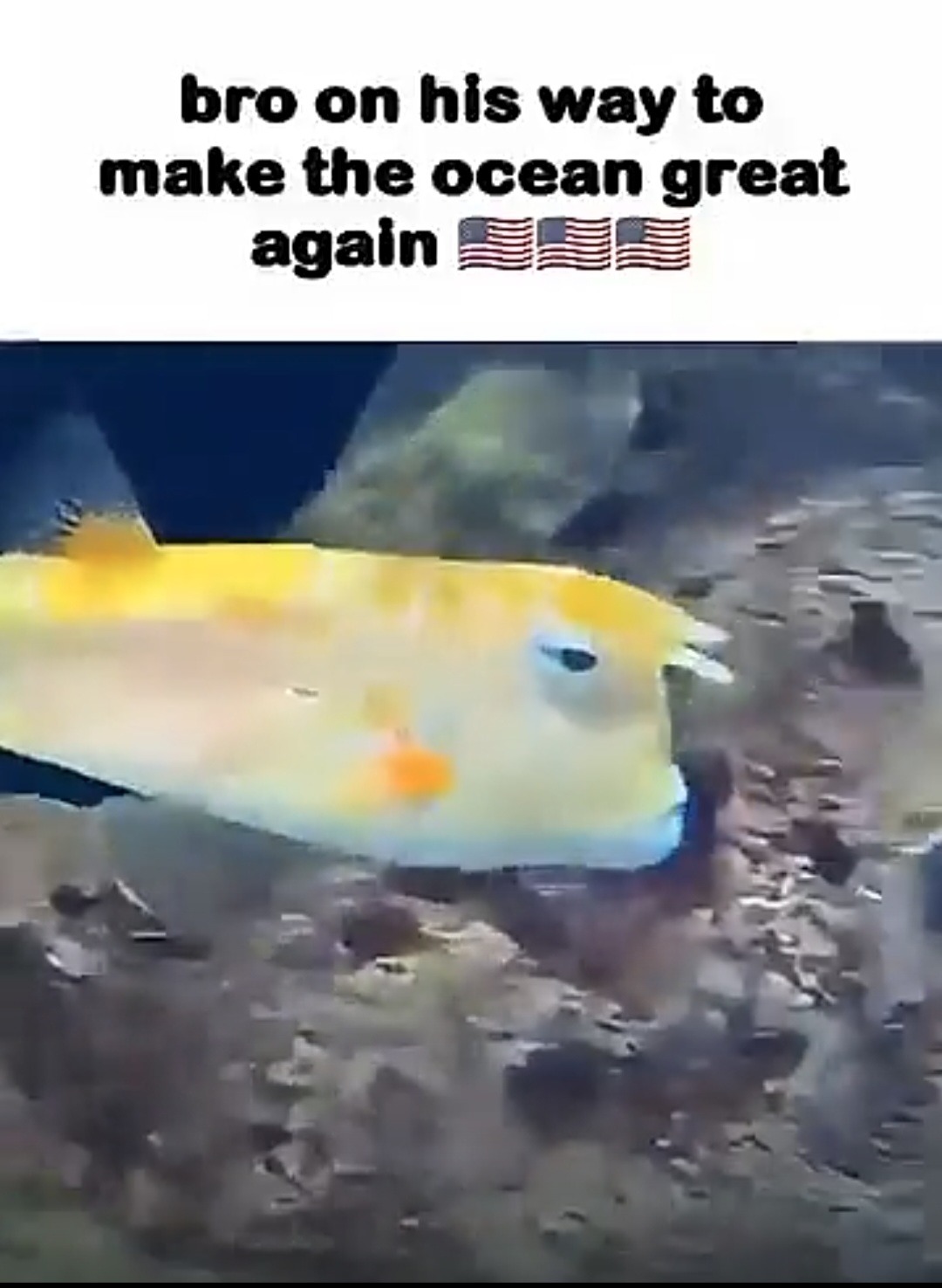 The best Ocean memes :) Memedroid