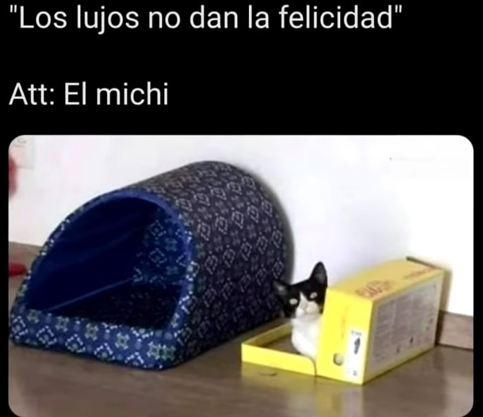 EL MICHIS - Meme subido por Seideriutu_ :) Memedroid