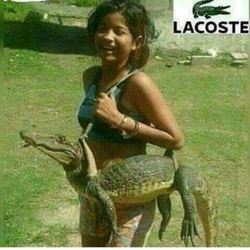 Los Últimos Memes :) Memedroid