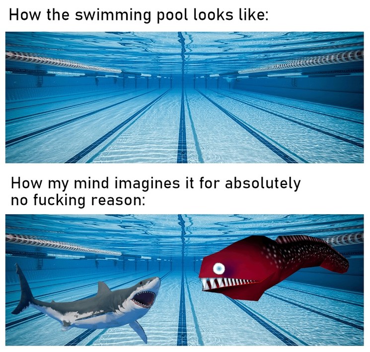Shark Pool Memes