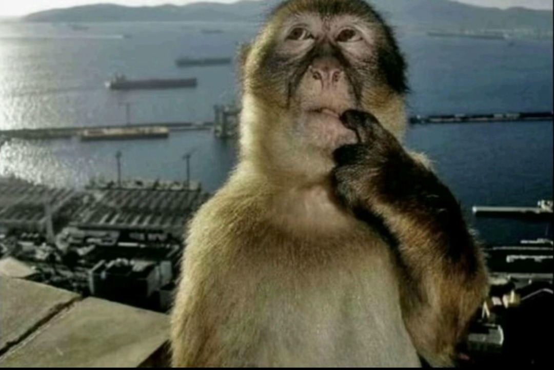 The best Confused memes :) Memedroid