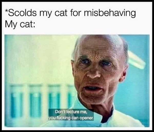 Check your privilege Mr. Kittles - Meme by HaywoodJablomi :) Memedroid