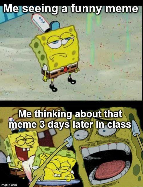 Latest memes / New memes :) Memedroid