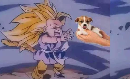 Top memes de Gokú en español :) Memedroid