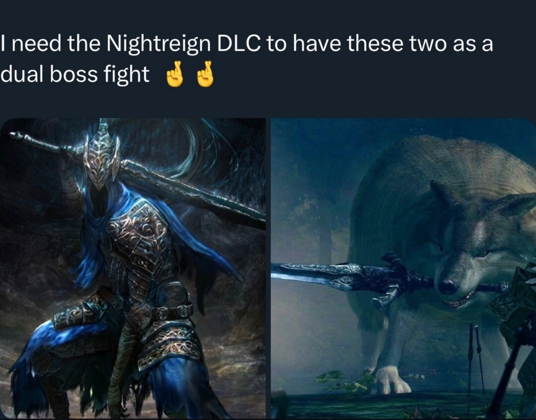 The best Nightreign memes :) Memedroid