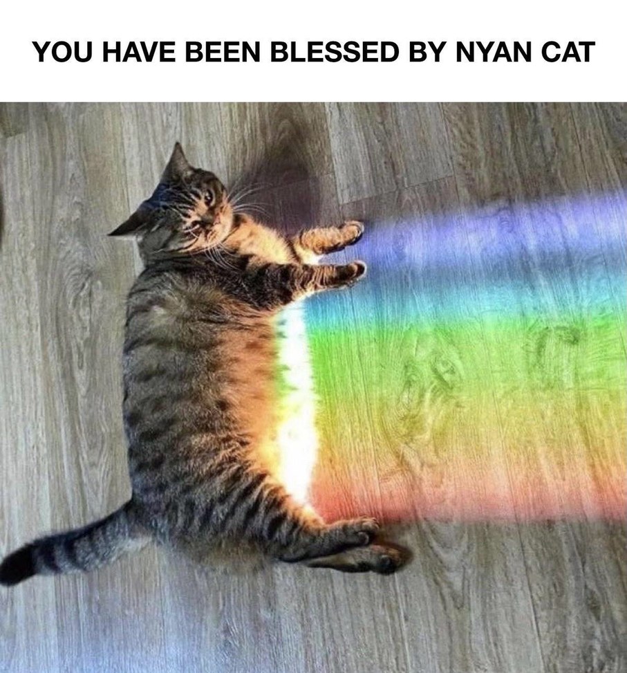 ñ - Meme by MAGAmexican :) Memedroid