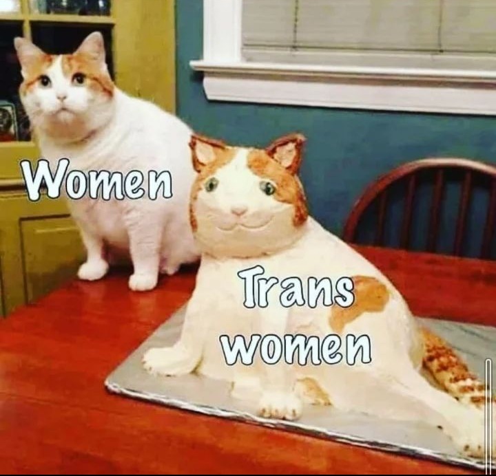 The best Trans memes :) Memedroid