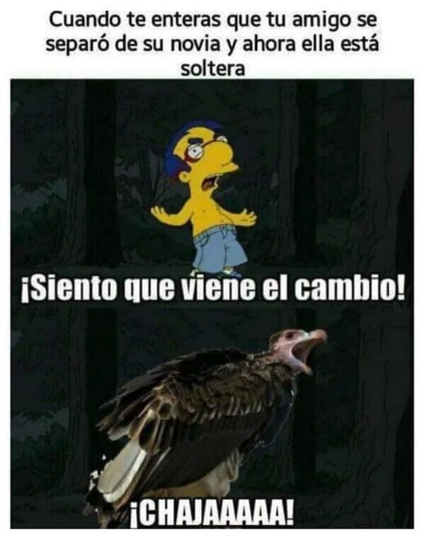 Los buitres aparecen - Meme subido por lauta_laflauta :) Memedroid
