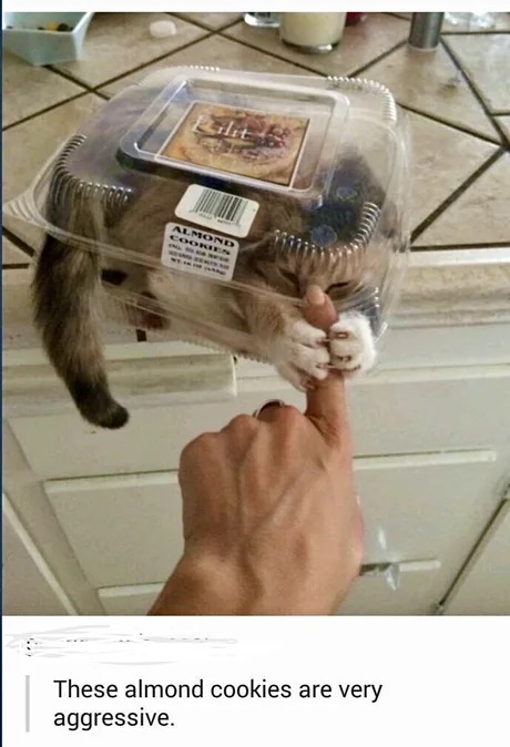 The best Cookies memes :) Memedroid