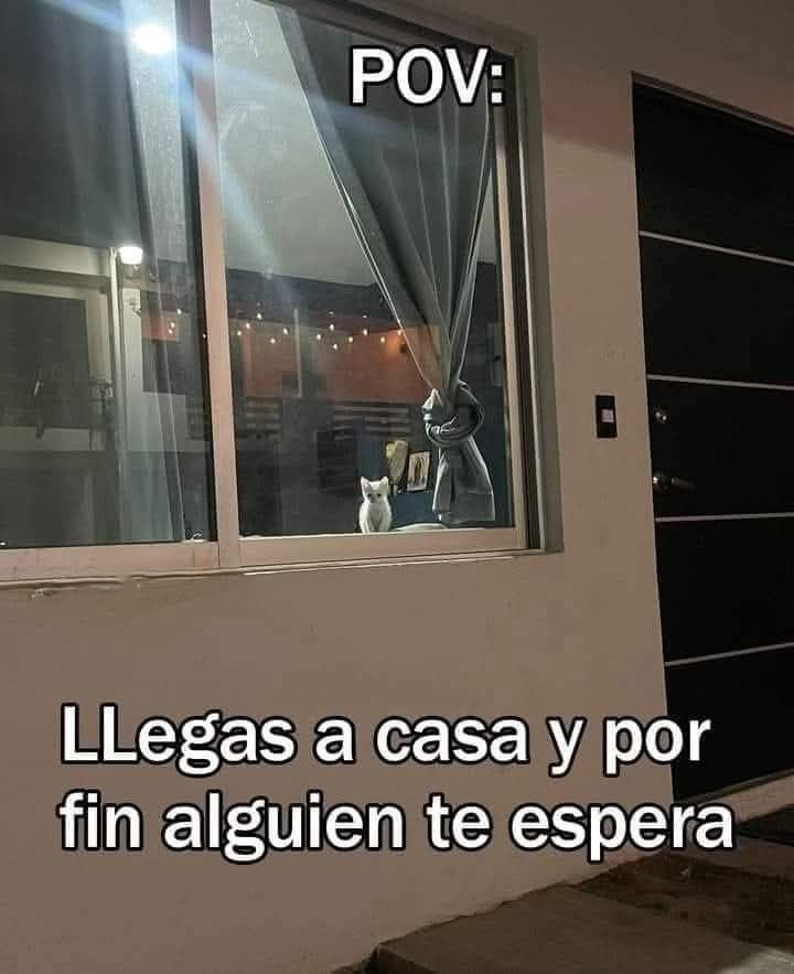 Top memes de Emoción en español :) Memedroid