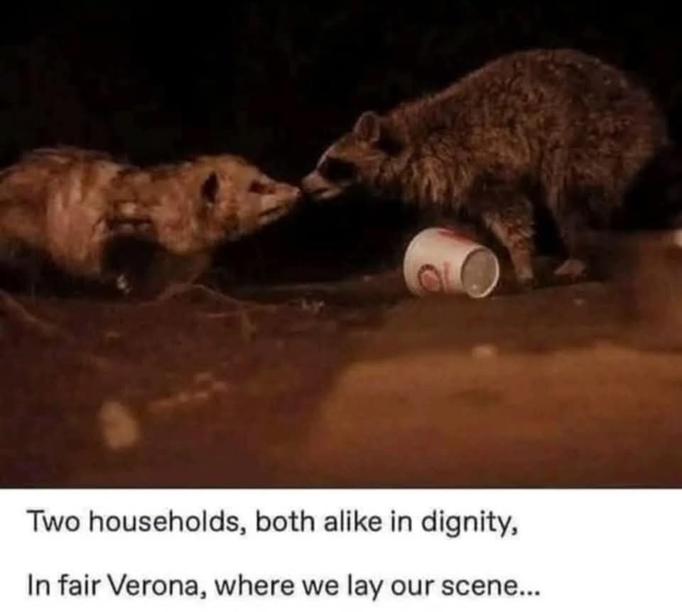 The best Drama memes :) Memedroid