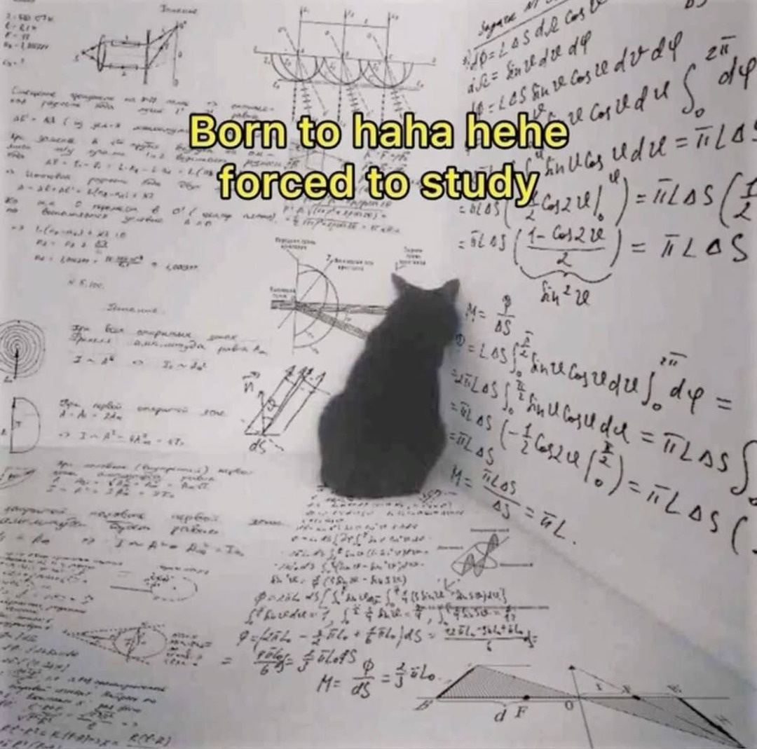 The best Studying memes :) Memedroid