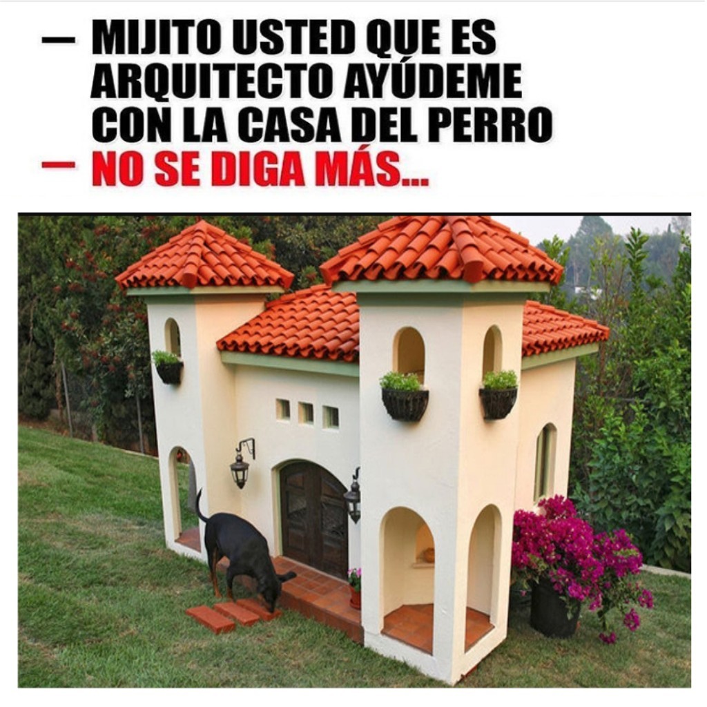 El Perro - Meme subido por llaaaan :) Memedroid