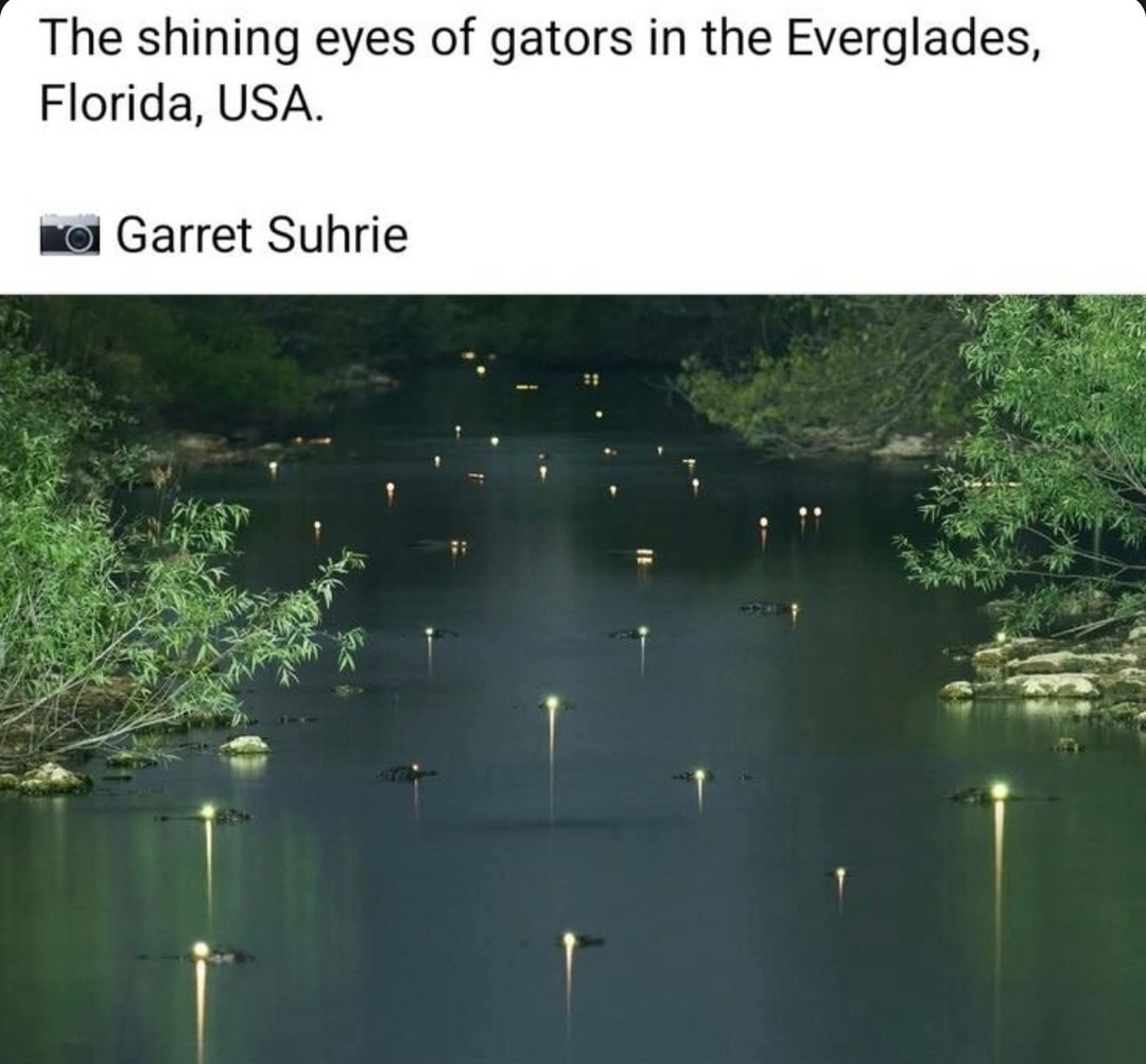 The best Florida memes :) Memedroid