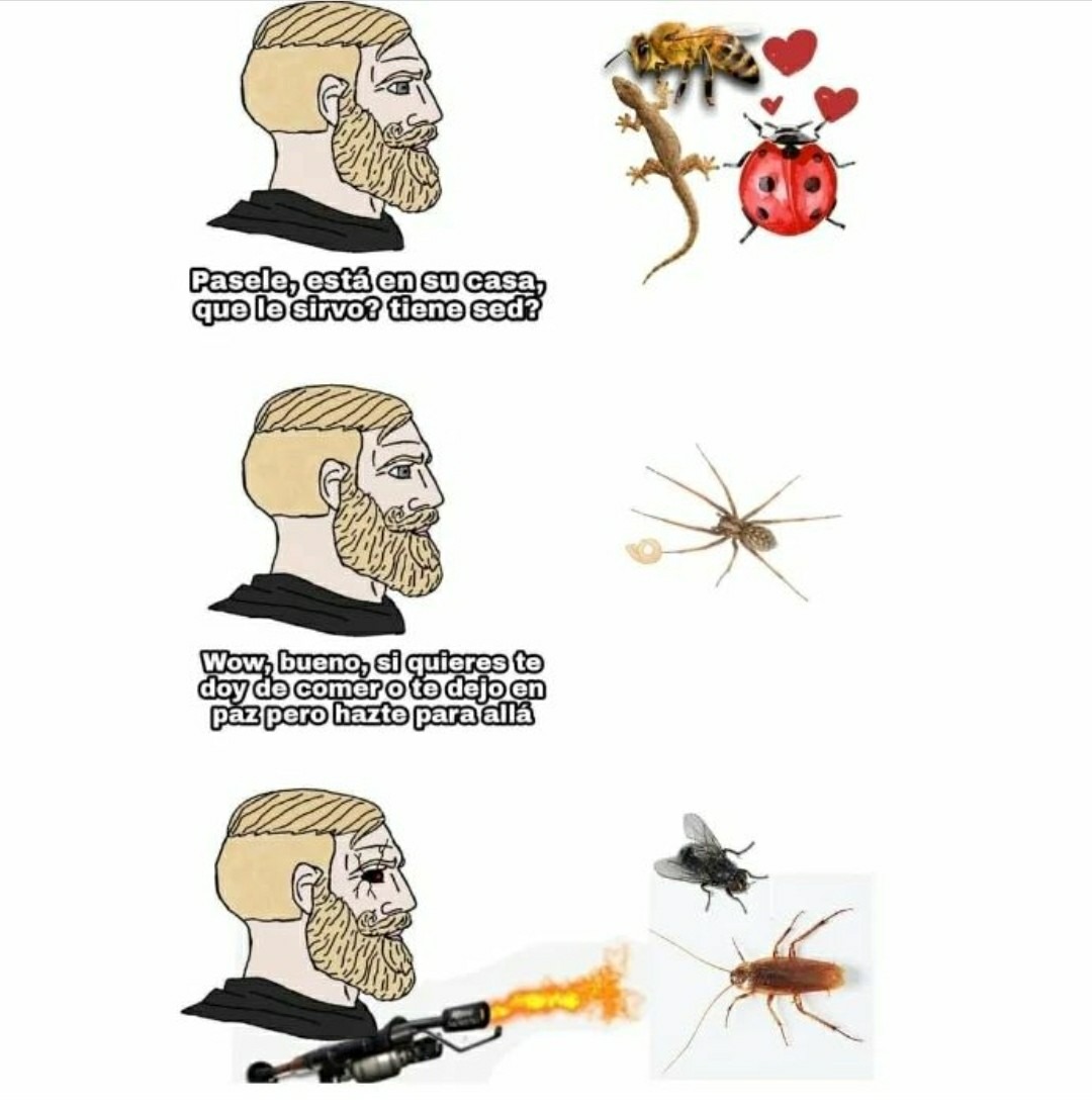 Si - Meme by Augustoa :) Memedroid