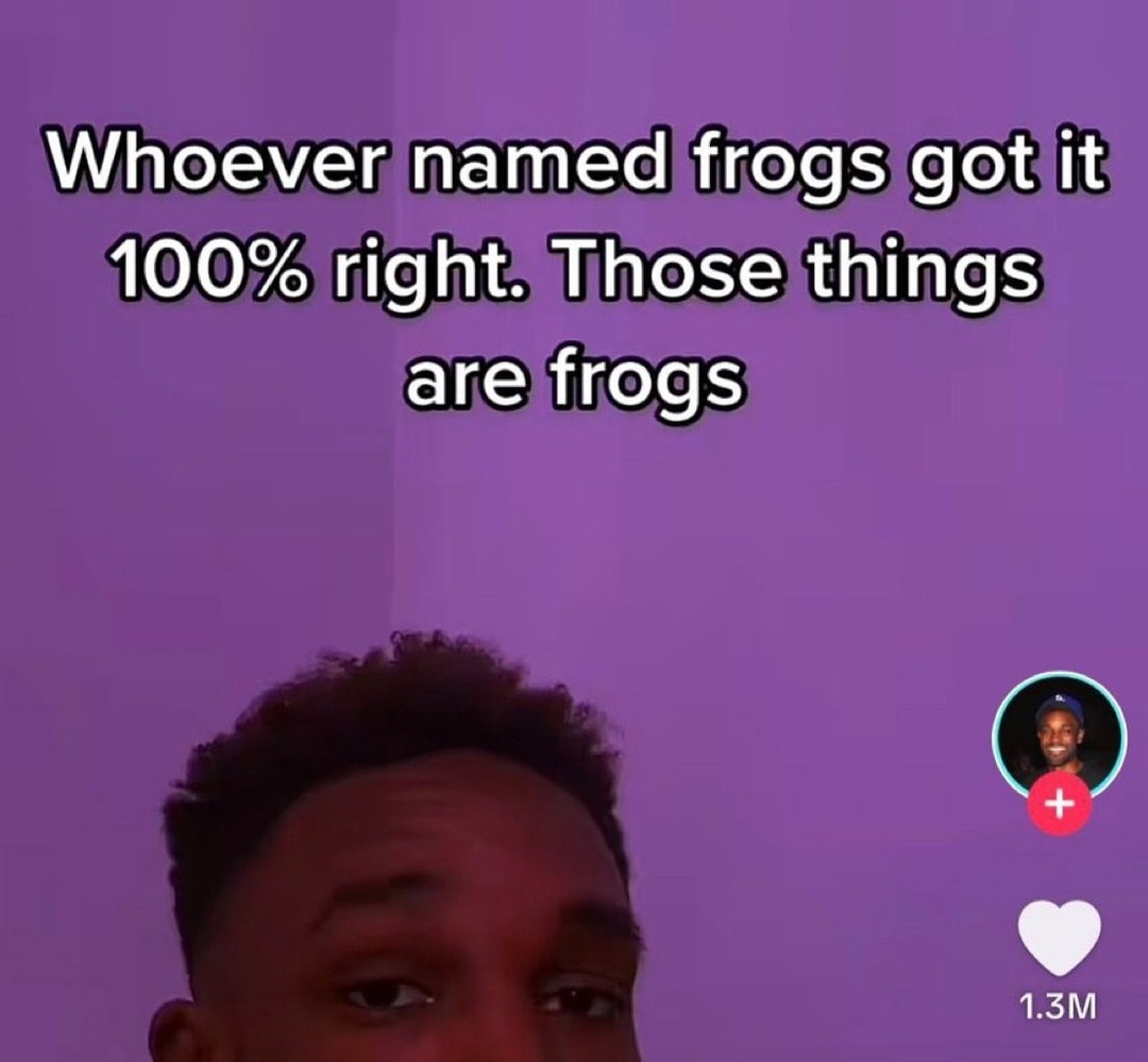 The best Frog memes