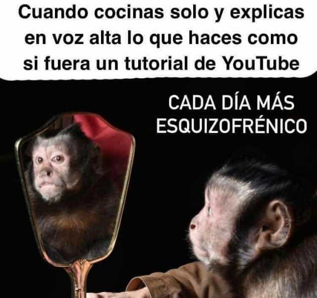 Cocinando solo - Meme subido por dgarlingo :) Memedroid