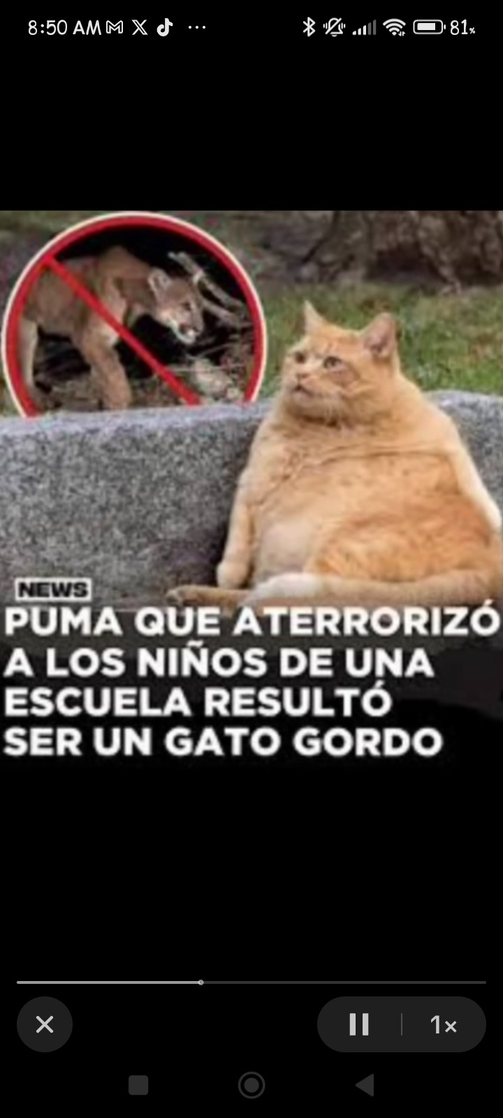 Los Últimos Memes :) Memedroid