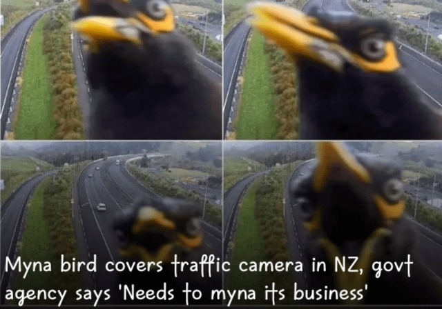 The Latest Memes :) Memedroid