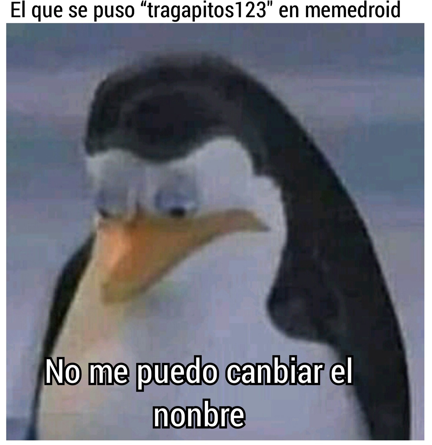 Top memes de cabo triste en español :) Memedroid