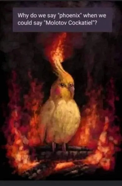 The best Screm memes :) Memedroid