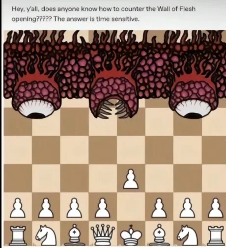 The Latest Memes :) Memedroid