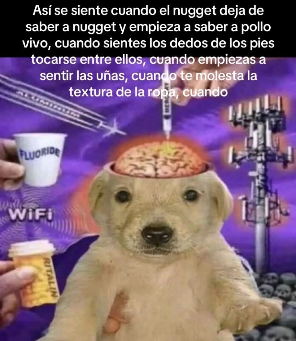 Los Últimos Memes :) Memedroid