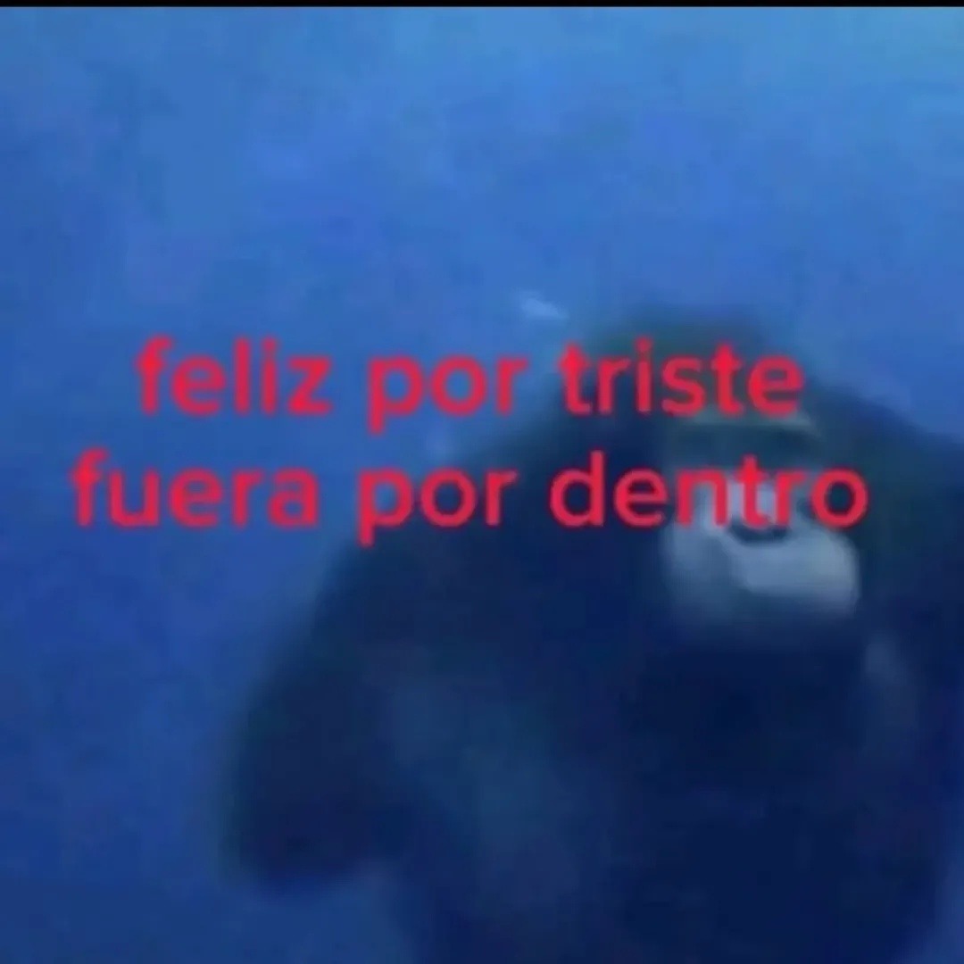 Top memes de Frase Aleatoria en español :) Memedroid