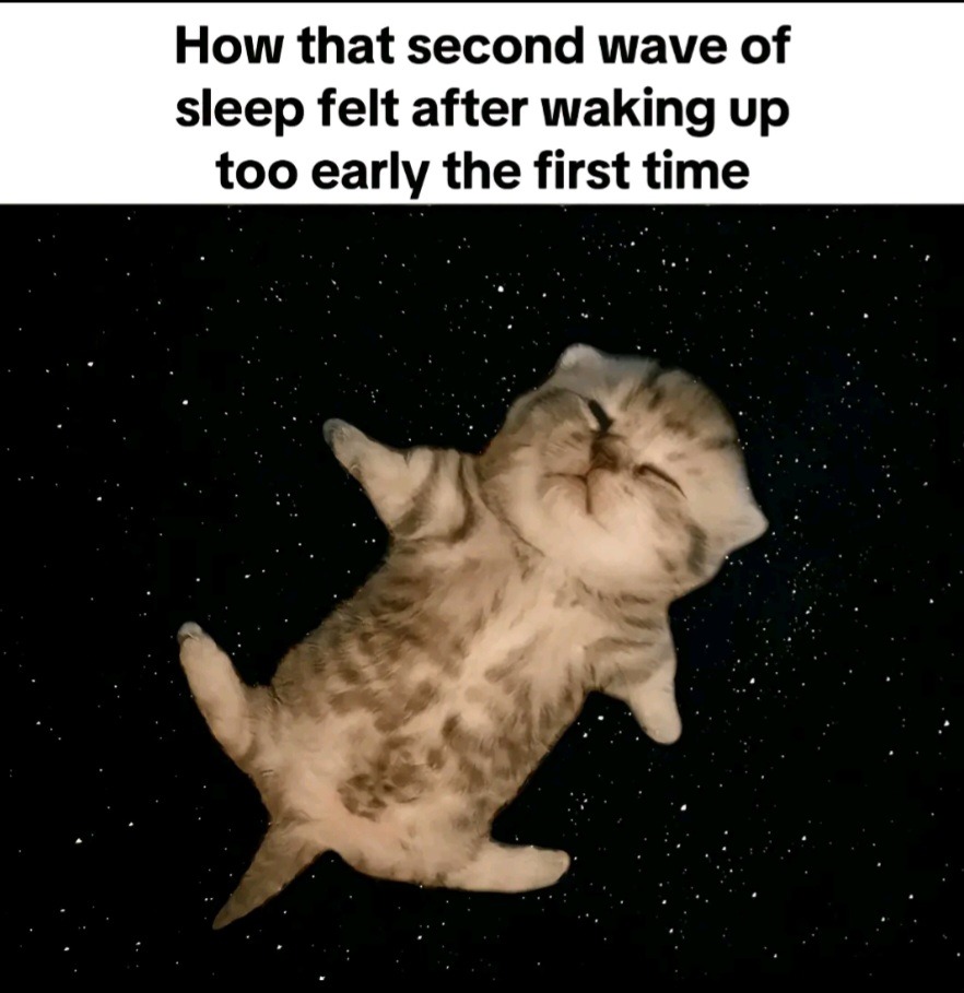 The best Sleep memes :) Memedroid